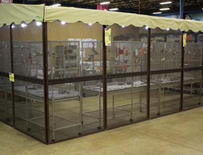 Explore Our Store : Aviary