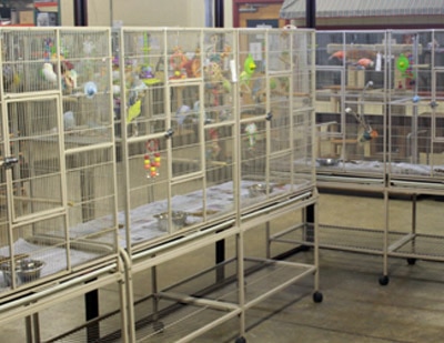 Explore Our Store : Aviary