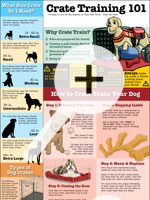 Crate Training Your Dog
