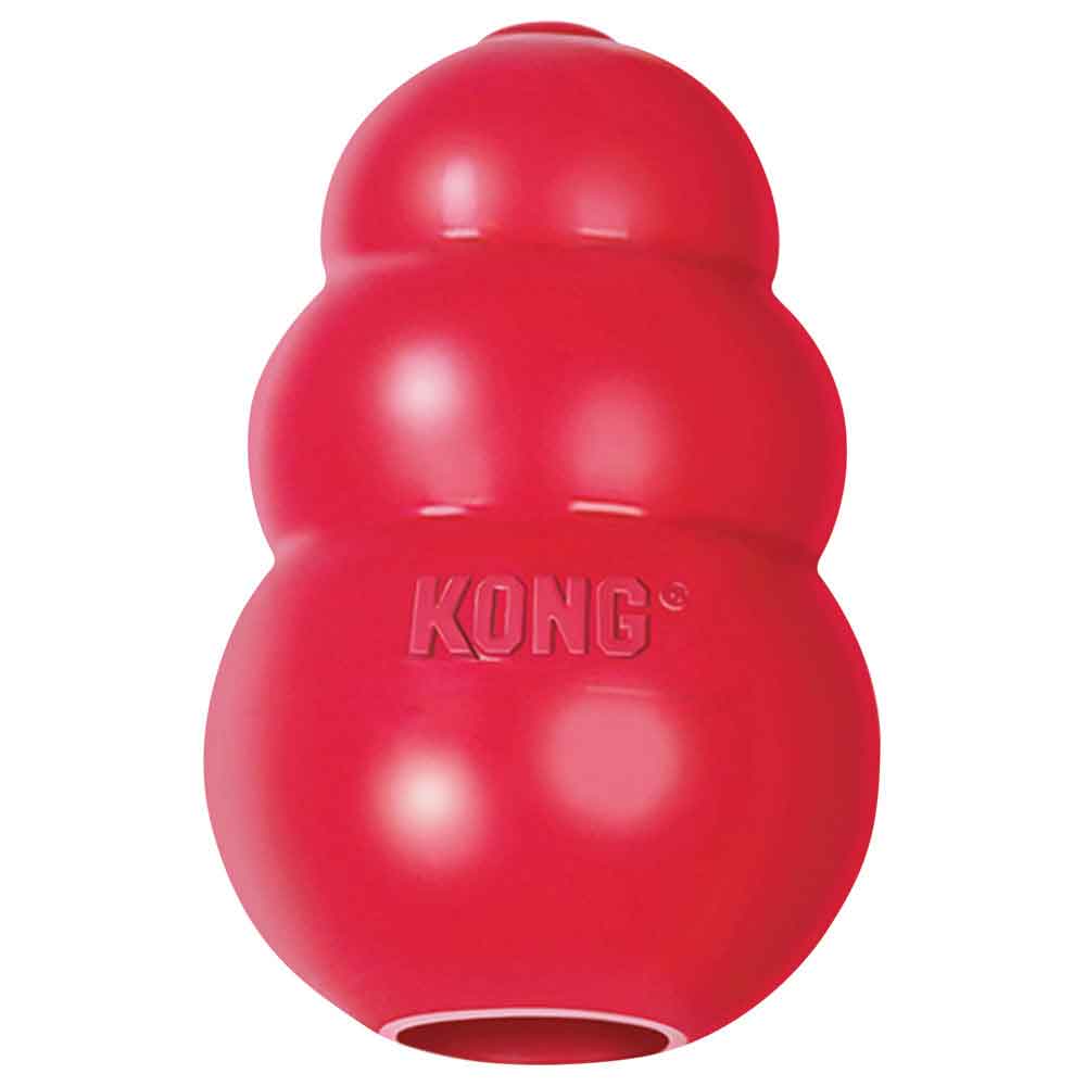 KONG Classic - Medium
