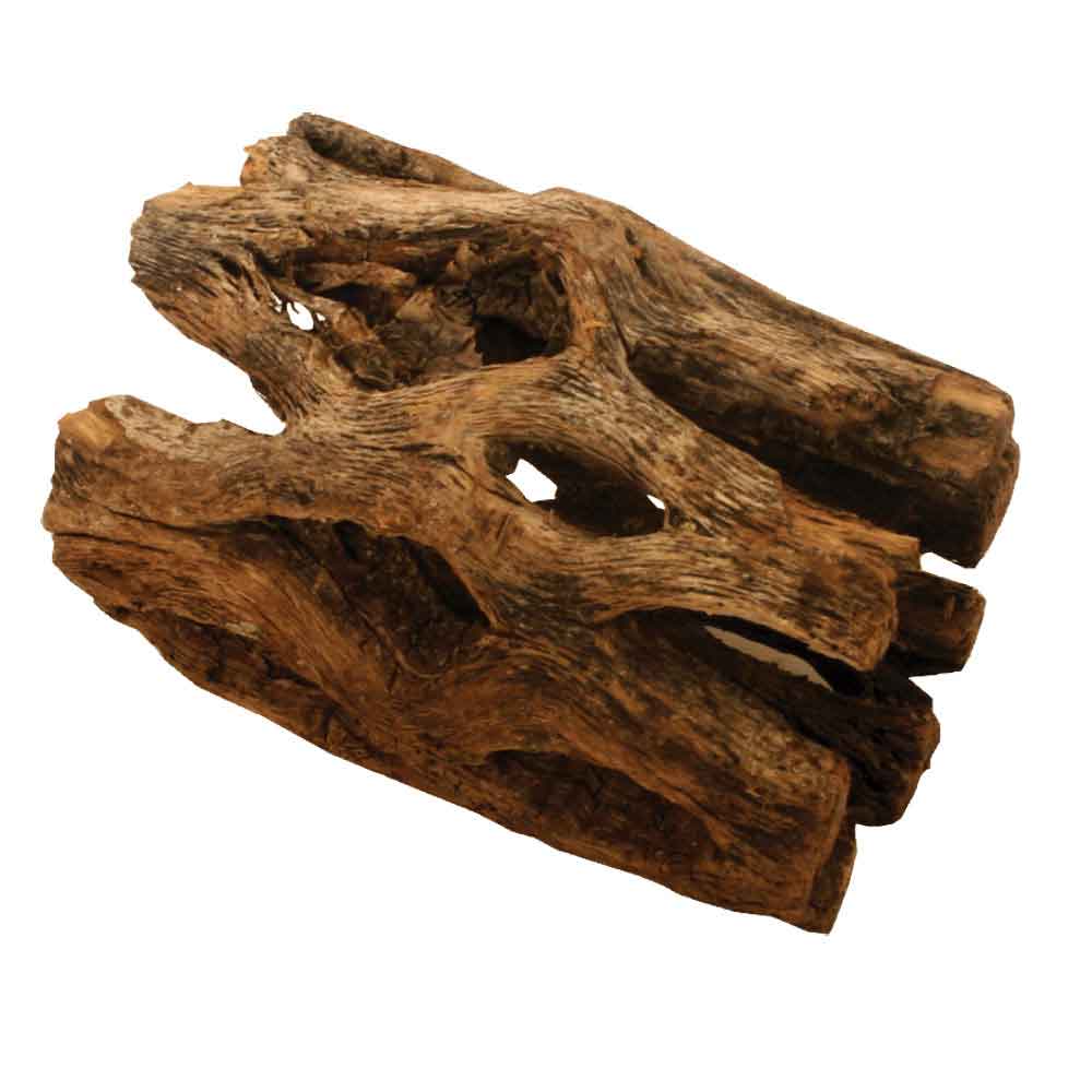 Choya Wood Package - 1 pc | That Pet Place