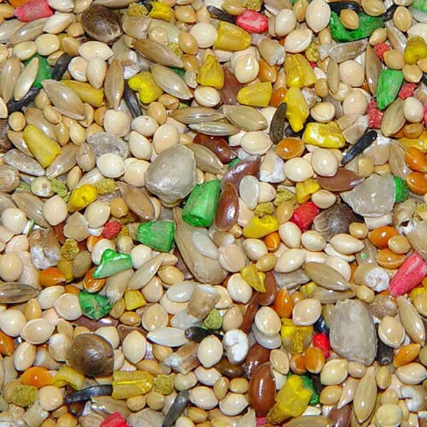 Higgins - Vita Seed Natural Blend Finch Food 2lb | That Pet Place