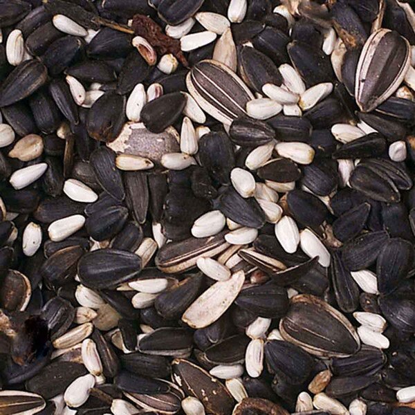 Wild Delight Cardinal Food - 7 lb. | That Pet Place