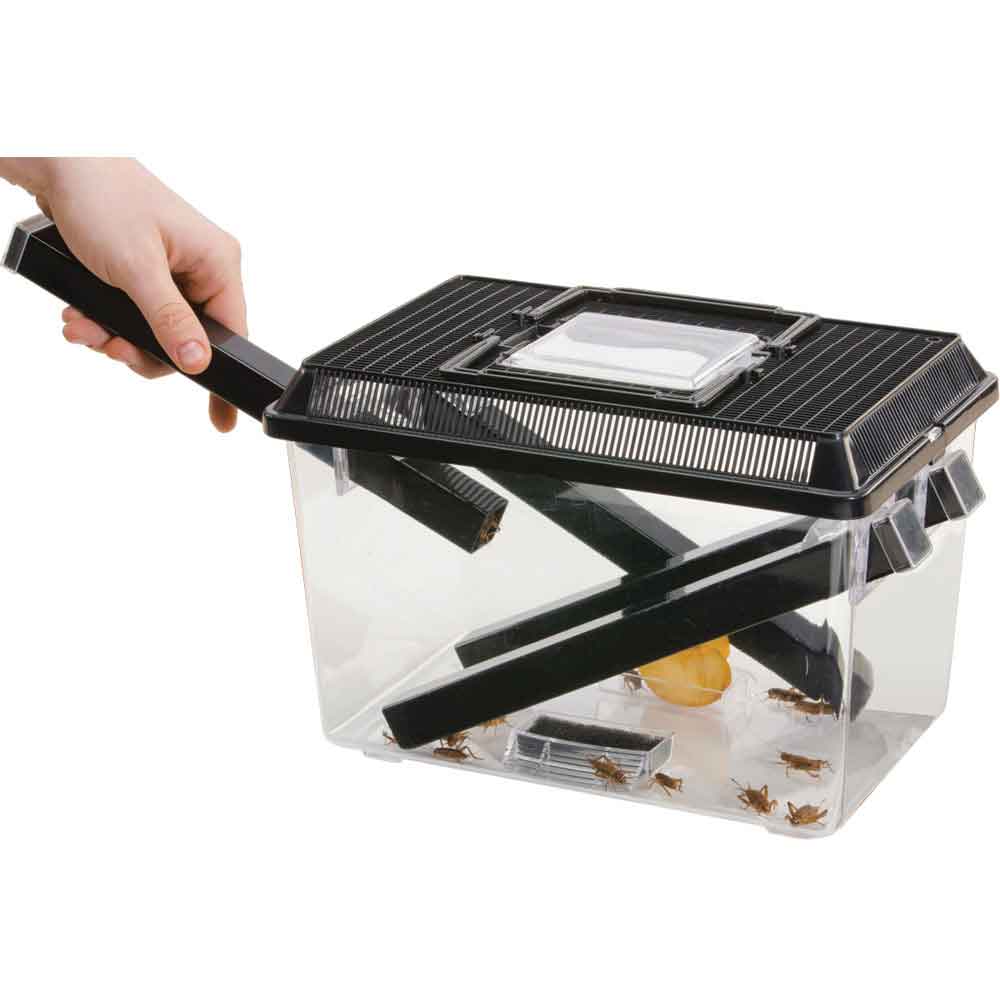 Exo Terra Cricket Pen - Large - 12 in. x 8 in. x 7.6 in.