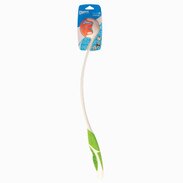 Chuckit! - Rebounce Ball Dog Toy MD 2pk | thatpetplace.com