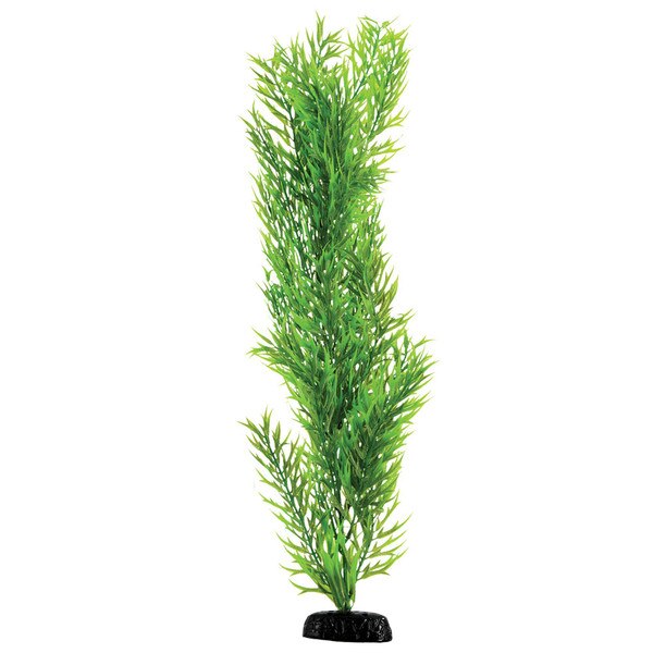 Underwater Treasures - Green Bamboo - 24" | thatpetplace.com