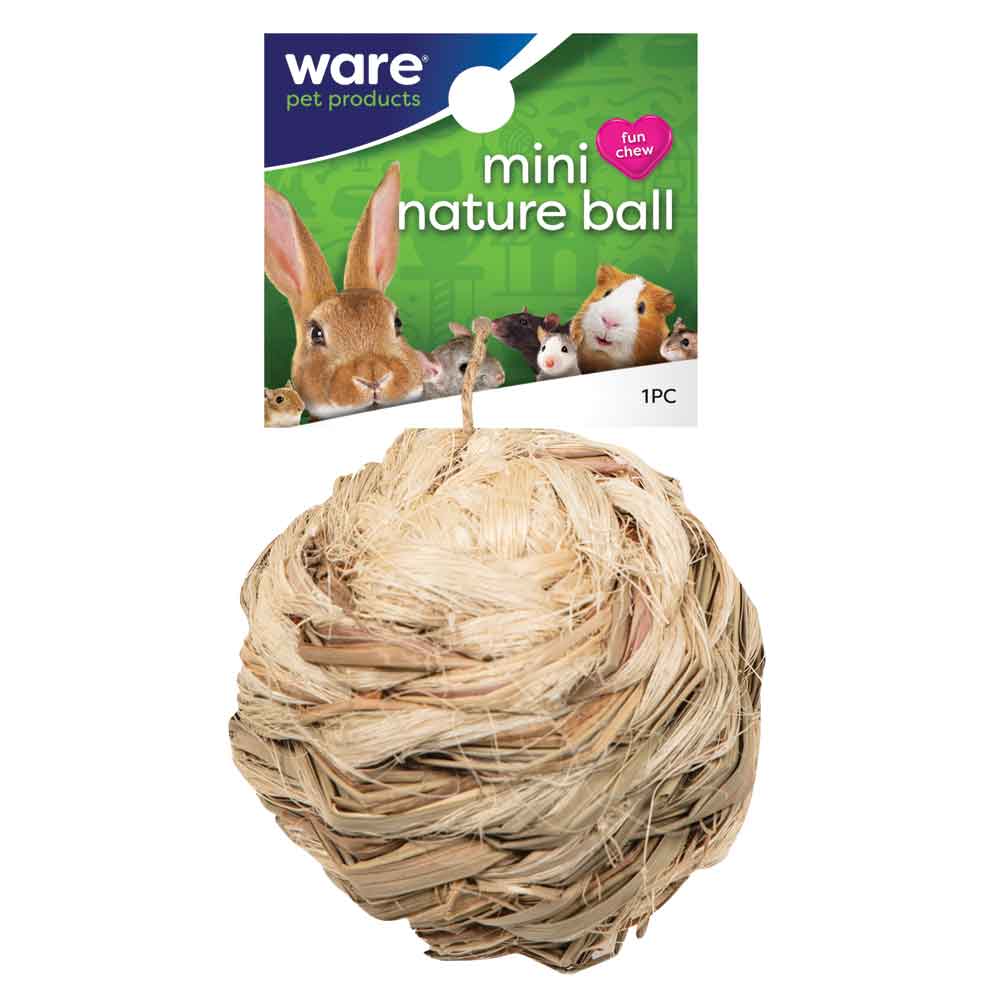 Ware - Nature Ball - Mini | thatpetplace.com