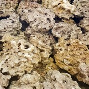 Live Rock For Sale For Saltwater Marine Aquariums | thatpetplace.com