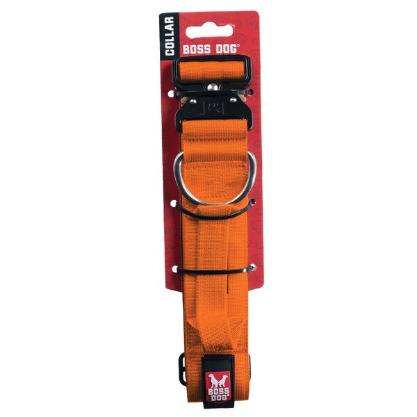 Boss - Tactical Collar Hunter Orange Md | thatpetplace.com