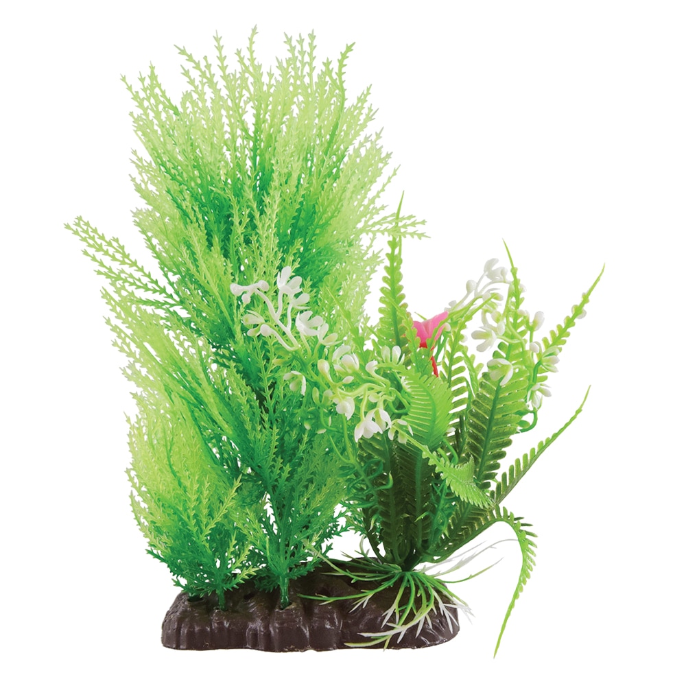 Underwater Treasures - Fine Fern Bunch | thatpetplace.com
