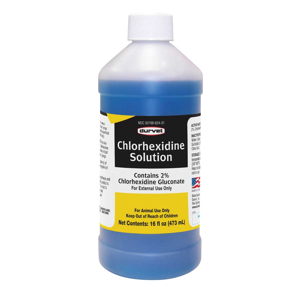 Durvet Chlorhexidine Solution - 16 oz | thatpetplace.com