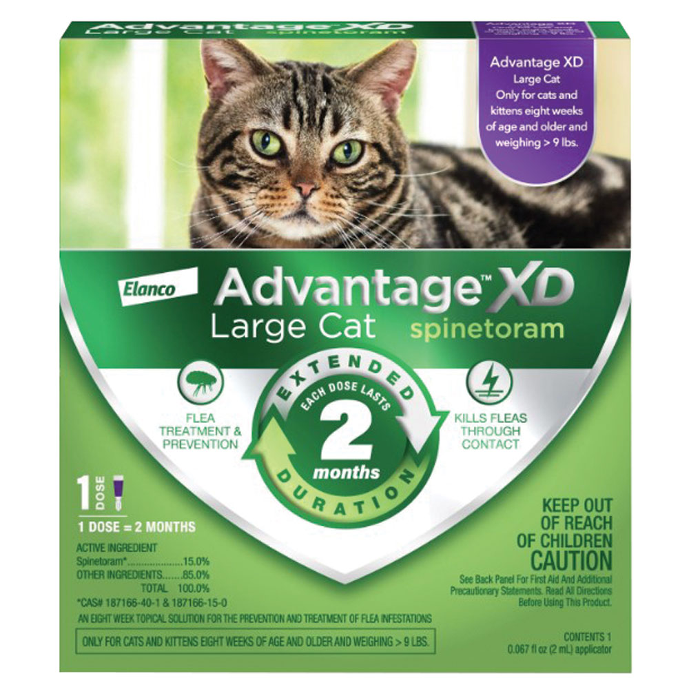 Advantage XD 1pk. Large Cat 9lb.+ | thatpetplace.com