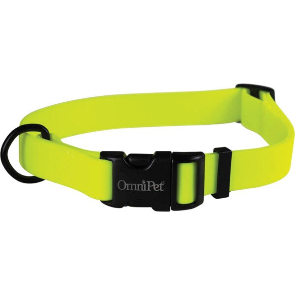 Carnival Biothane Dog Collar - Neon Yellow - 3/4 x 14-20 in ...
