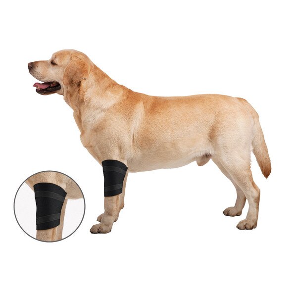 ZenWraps - Front Leg Elbow Protector - Lg | thatpetplace.com