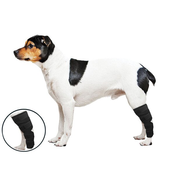 ZenWraps - Back Leg Hock Protector - Md | thatpetplace.com