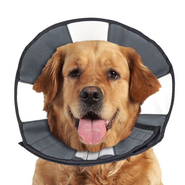 ZenCone - Soft Recovery Collar w Windows - XL | thatpetplace.com