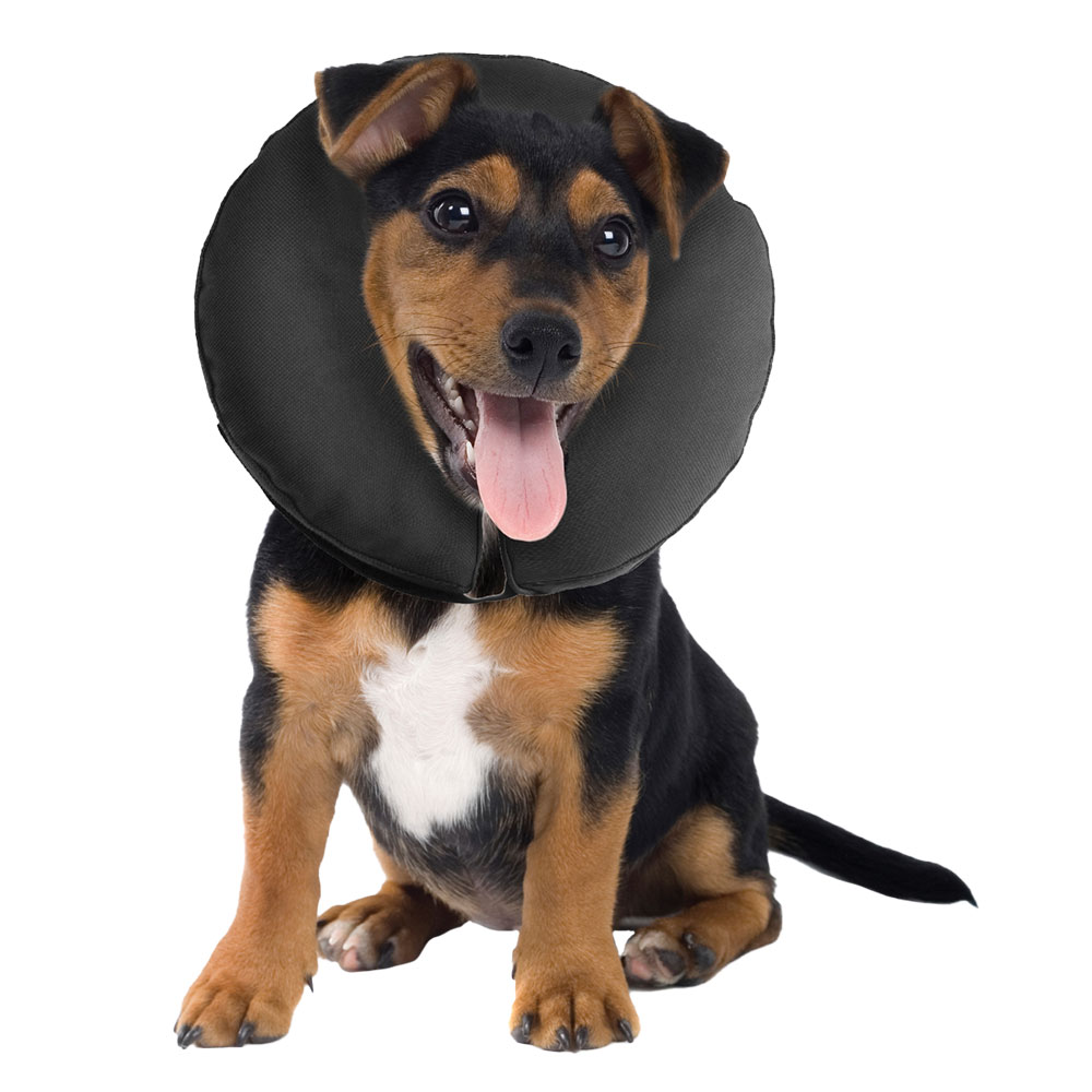 ZenCollar - Inflatable Recovery Collar - XS | thatpetplace.com