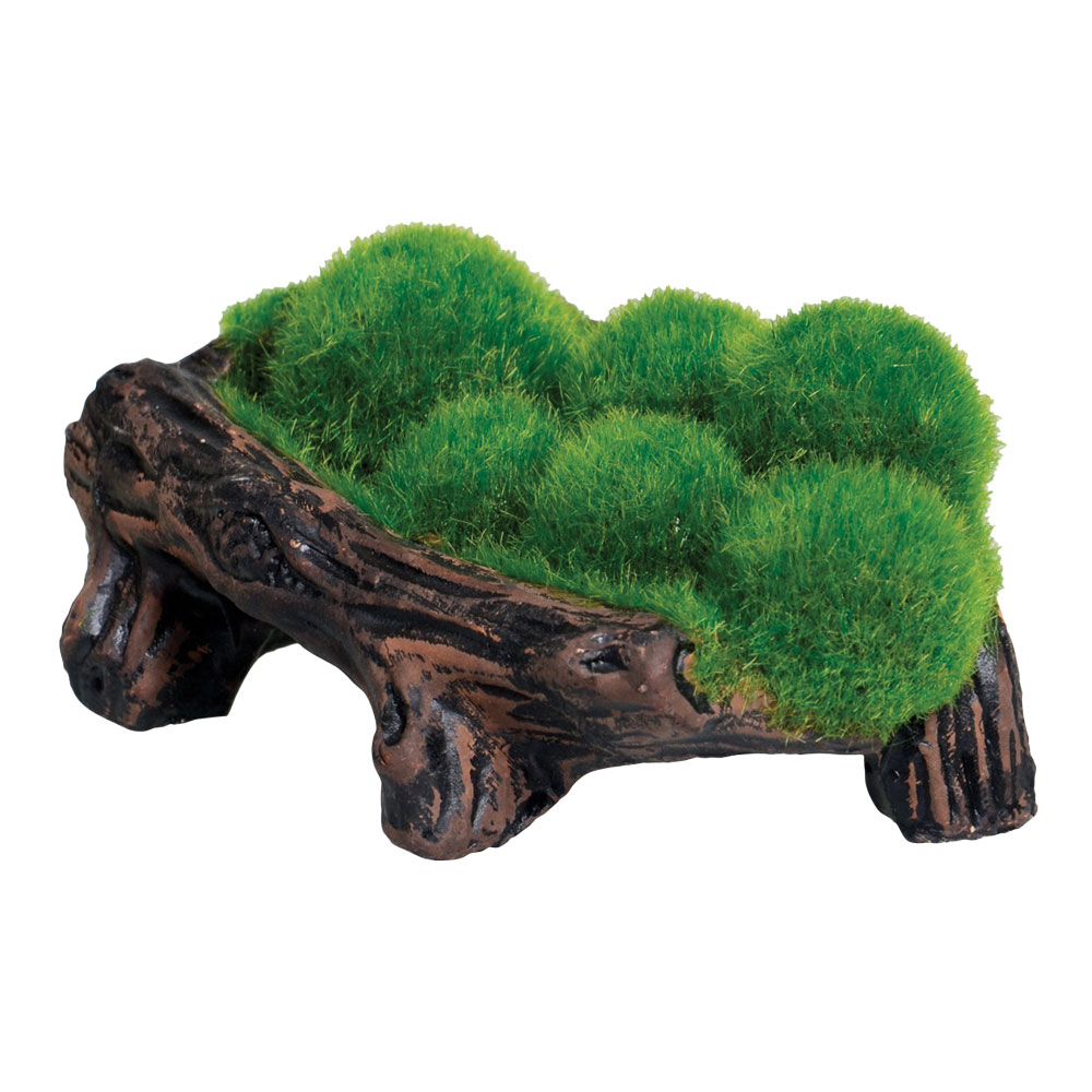 Underwater Treasures - Mossy Log Cave w Airstone | thatpetplace.com