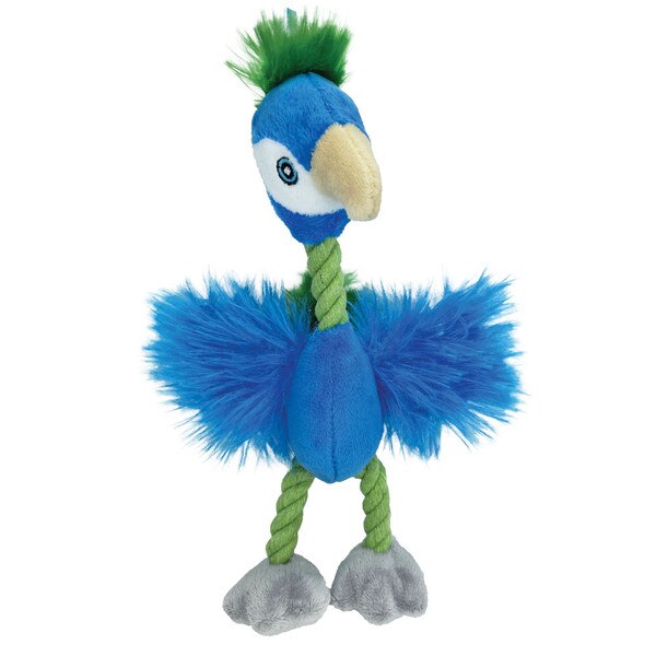 Pet Envy - Bird Brains - Ast | thatpetplace.com