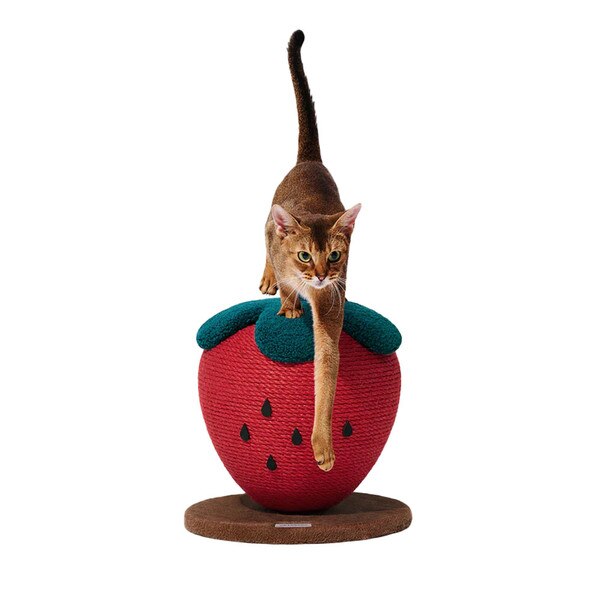 Vetreska - Strawberry Cat Scratching Ball | thatpetplace.com