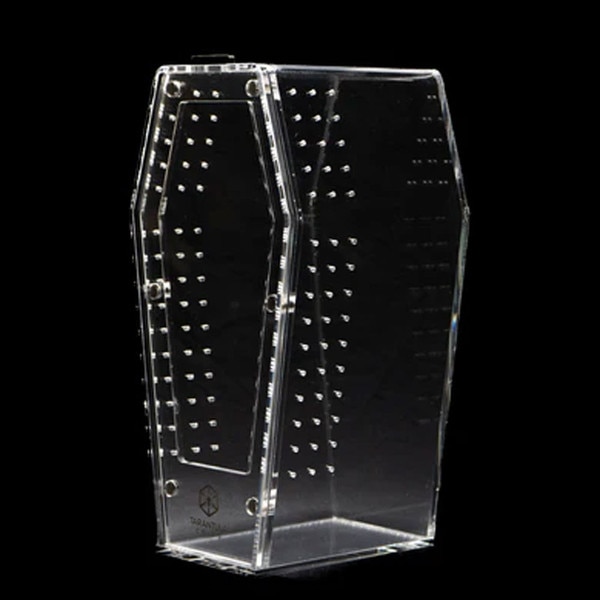 Tarantula Cribs - Medium Coffin Crib Enclosure | thatpetplace.com