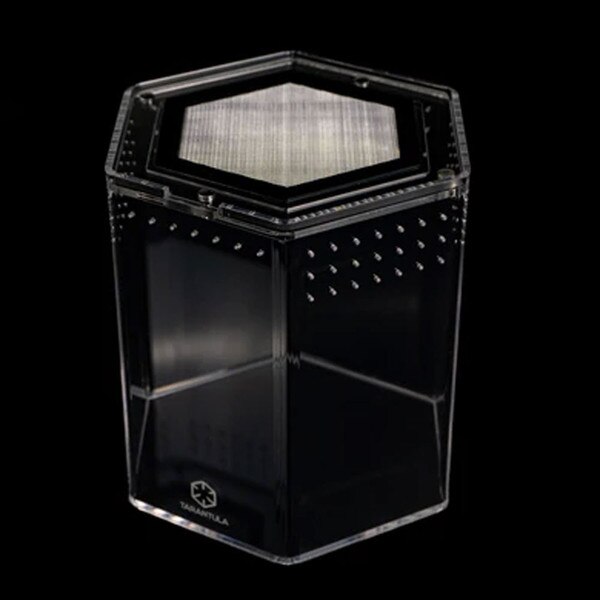 Tarantula Cribs - 8in Hex Crib Enclosure | thatpetplace.com