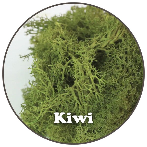 Mossify - Reindeer Moss Kiwi 100g | thatpetplace.com