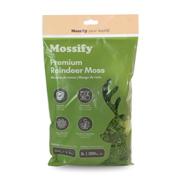 Mossify - Reindeer Moss Shamrock 100g | thatpetplace.com
