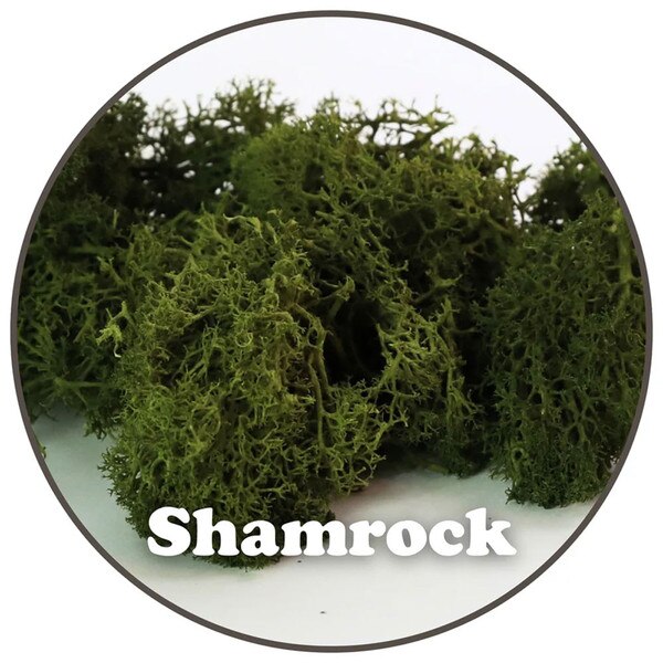 Mossify - Reindeer Moss Shamrock 100g | thatpetplace.com